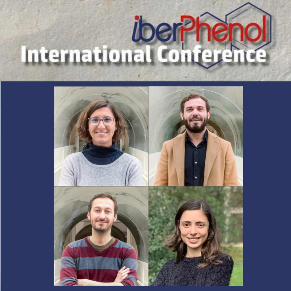 LAQV spotlighted at the "Iberphenol" Conference | Gazette | LAQV REQUIMTE