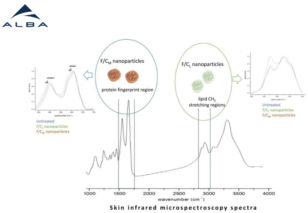 LAQV work published in Sincrotão Alba website - NANOPARTICLES MADE FROM ...